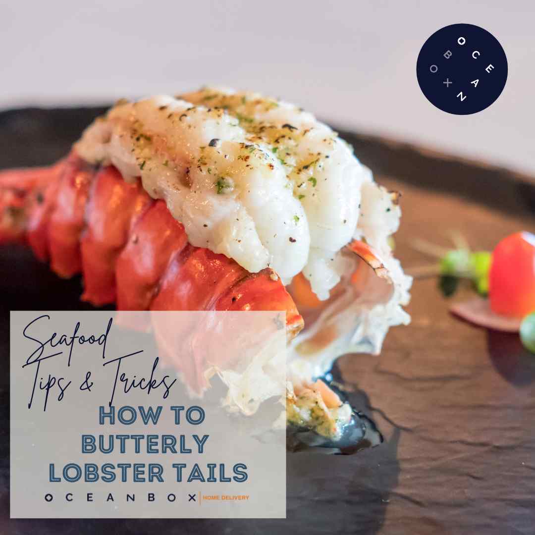 Seafood Tips - How to Butterfly Lobster Tails – Oceanbox