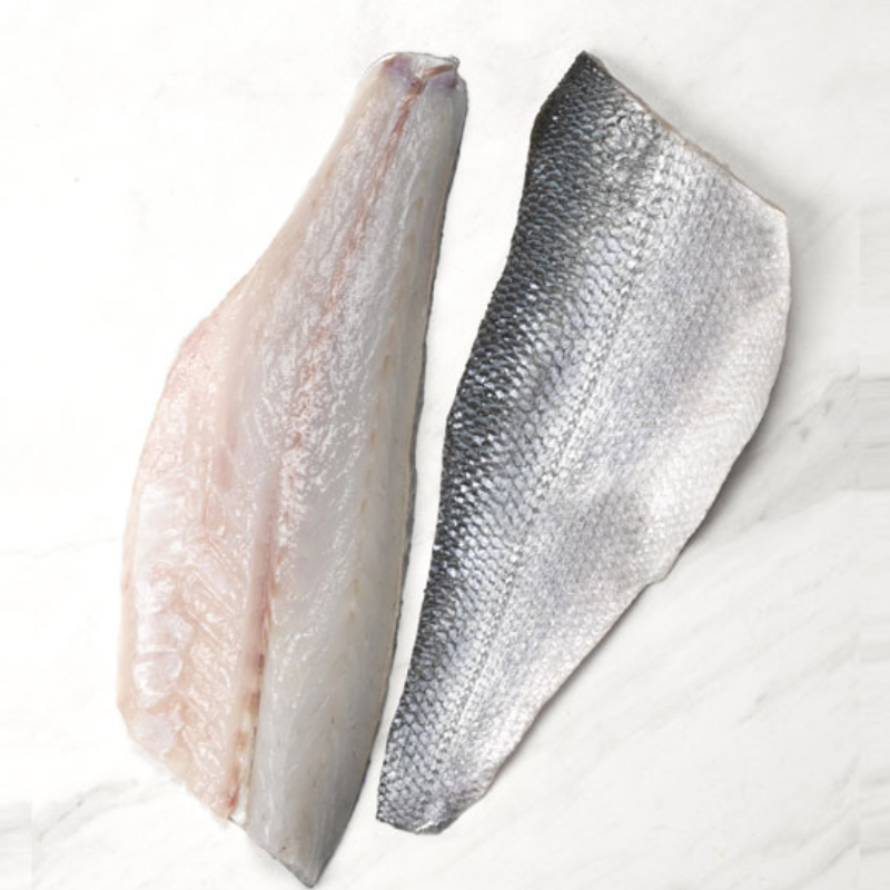 Mediterranean Bronzino Fillets – Oceanbox