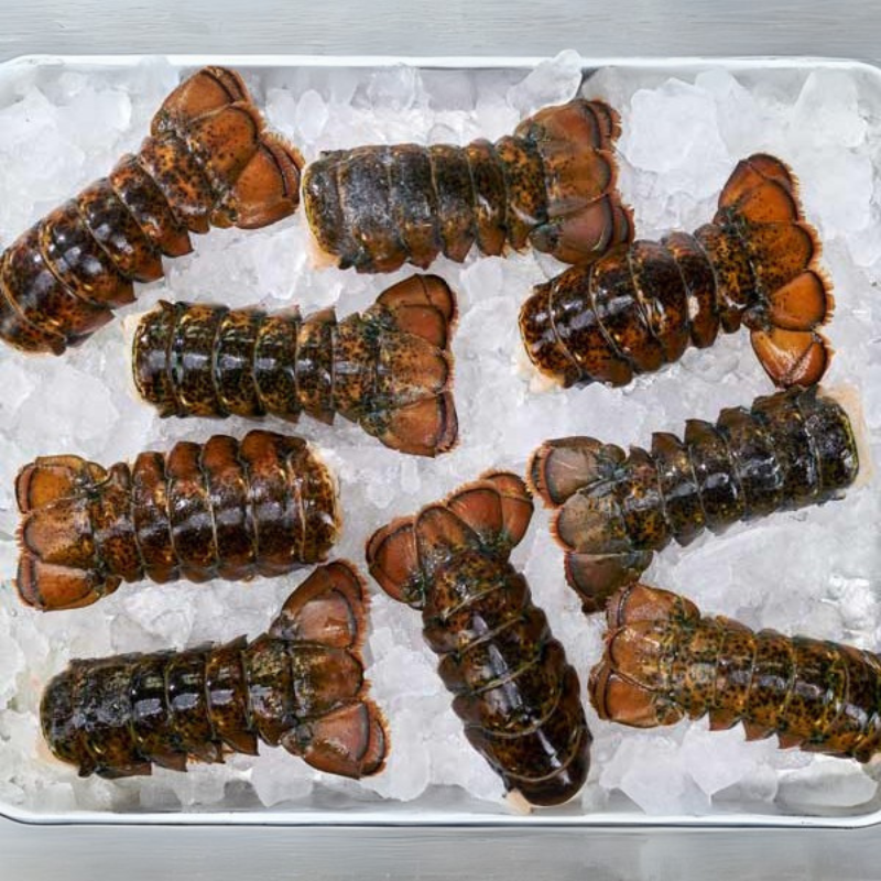 Cold Water Lobster Tail Box – OceanBox