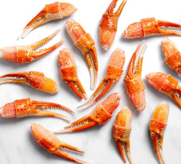 Snow Crab Cocktail Claws (2 lbs) – OceanBox
