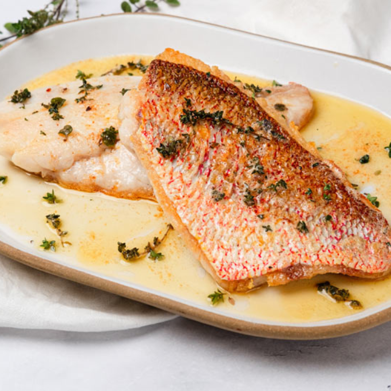 Wild American Red Snapper Portions – Oceanbox