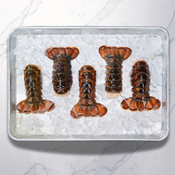 Shellfish Trio Box – OceanBox